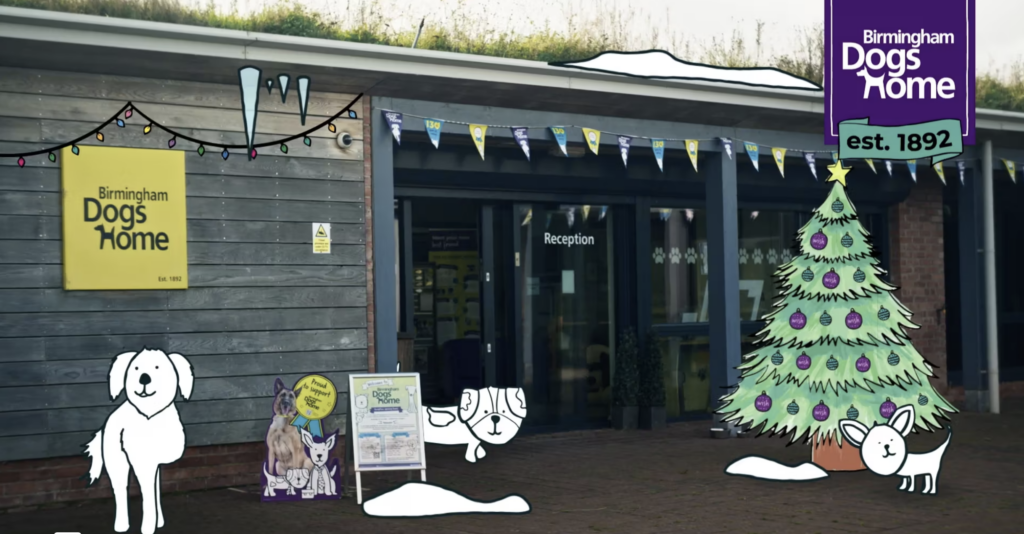 Birmingham Dogs Home - Spark Media Video Production Agency